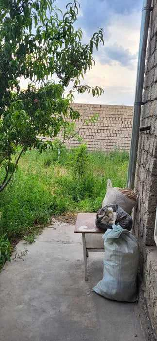 Продается земля на ул Олтин топган