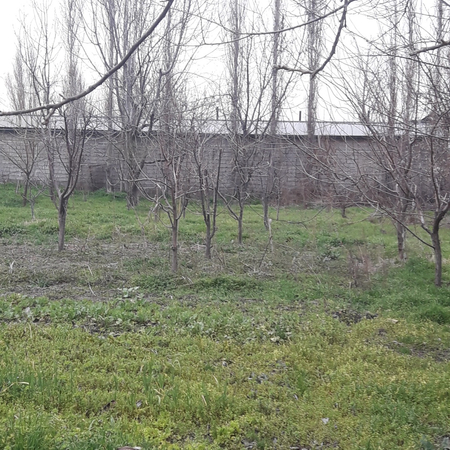 Недвижимости Земля