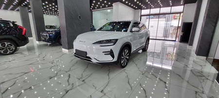 Электромобиль BYD Champion 605 km 2024год вып