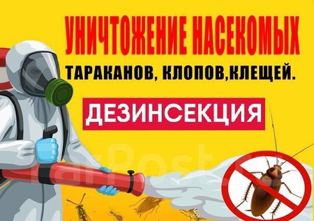 Дезинфекция тараканов и клопов