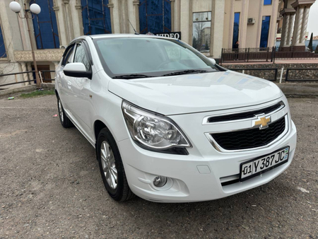 COBALT LTZ Style 2022