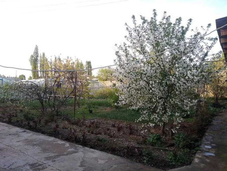 Сдаю дом на Чорсу для семьи или студентам