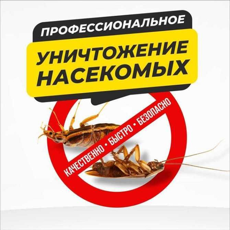 Дезинфекция от клопов в Ташкенте и Таш. Обл