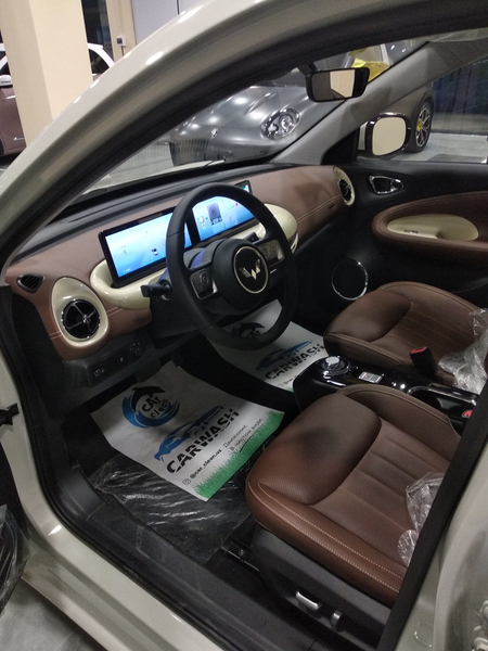 1000$ bilan elektromobil