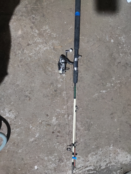Qalmoqlar krakadil elektra spindik