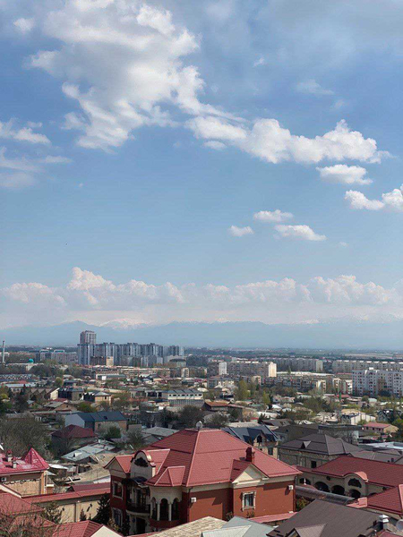 ЖК Nikitina Residence 3/9/9