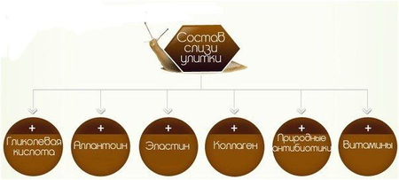 Улиткотерапия — косметическая процедура