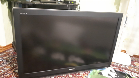 Toshiba Regza экран 42