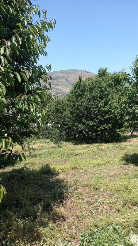 Продаются участок возле амирсая Чимган