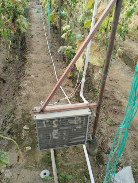 Katyol parnikka, radiator parnikka