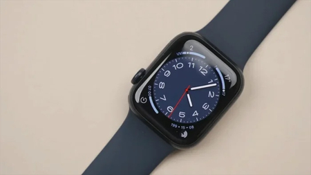 Apple Watch 8/45 mm