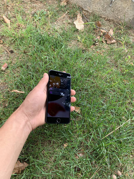 Iphone 7 plus ideal