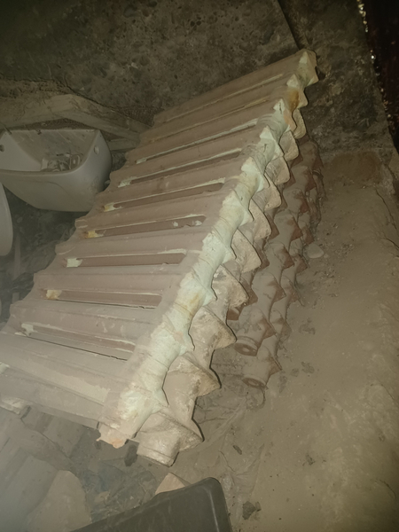 Almatura shipr taxta
