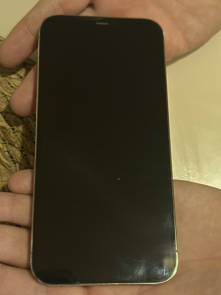 iPhone 12 Pro Max