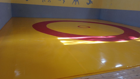 Спортивные маты, БОРЦОВСКИЙ ковёр тент, Ковер,tatami, маты гимнастика