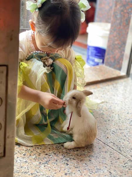 Shunaqa karlikviy padarichniy quyonla