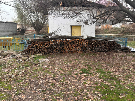продам дрова  от черешни и абрикоса. Мевали Дарахт утинини сотаман.
