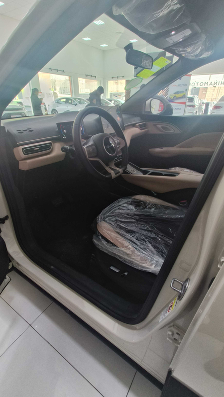 BYD Seagull full 405 km (в наличии)