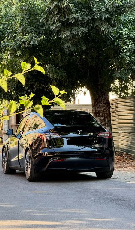 TESLA MODEL Y (Performance)