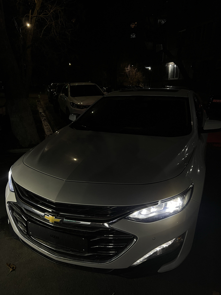 Malibu Premier 2020 kraska tozza