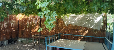 Zangiotada dacha sotiladi