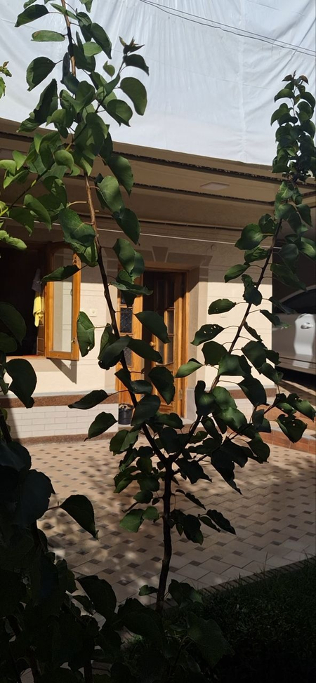 Срочно продаётся Участка  Город Ташкент.самарканд дарвоза