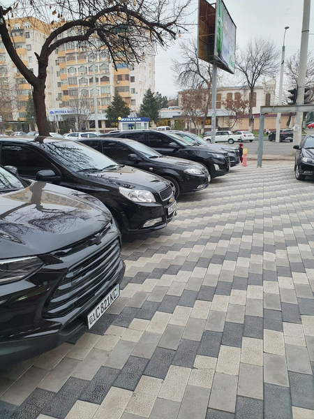 Rent a Car _ avto arenda _ ijaraga moshina