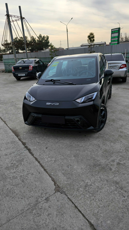 BYD Seagull qora
