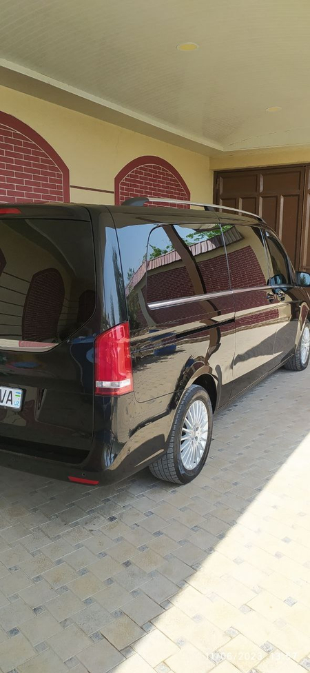 Mercedes Viano 2017