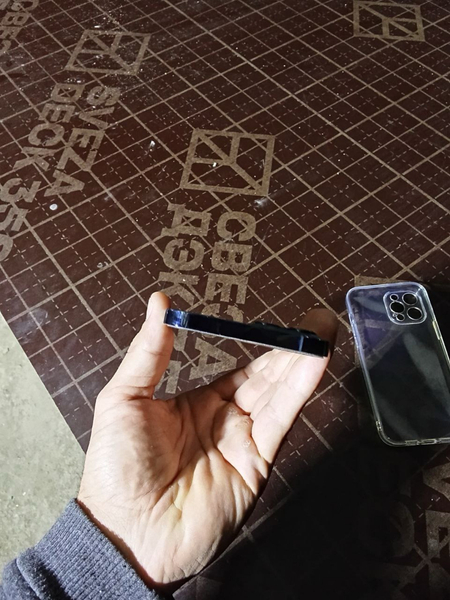 Iphone 12 pro max