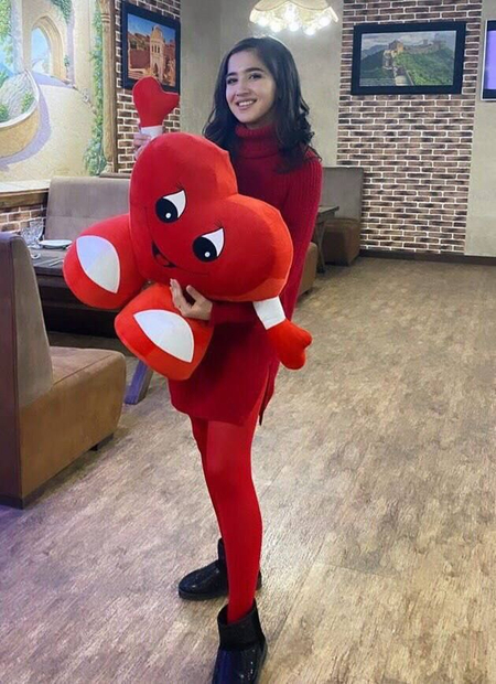 Teddy va boshqa yumshoq oʻyinchoqlar