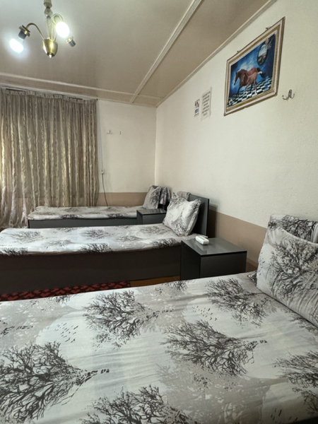 Hostel hotel mehmonxona ijaraga uy gastinitsa