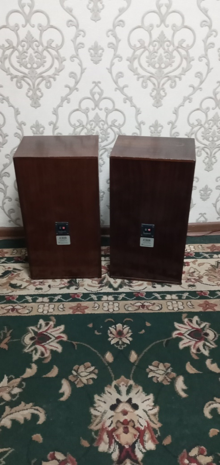 Усилитель  Radiotehnika У101 акустического S-50B HI-FI