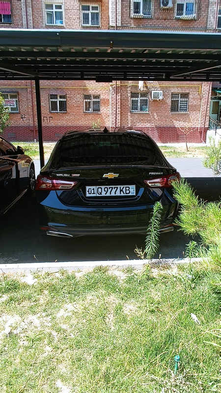 Malibu 2 primer 2022 Qora