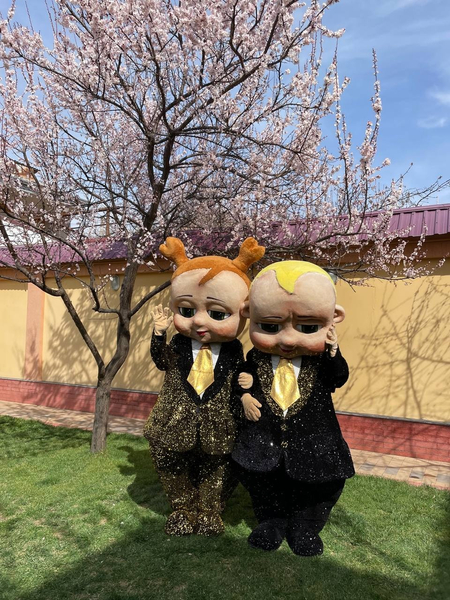 Ayiqlar xizmati!