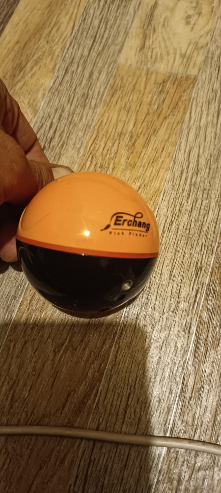 Exolot erchan firma