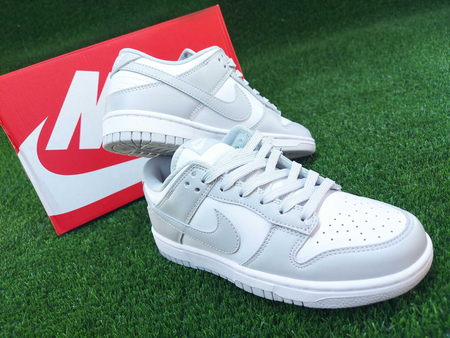 Nike Dunk Low Retro Grey Fog