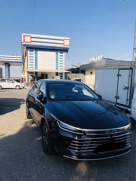 Byd chazor 2023 tozza