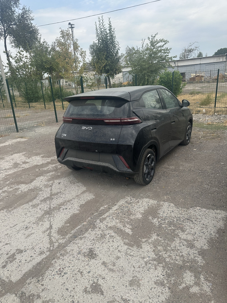 Byd Seagull 2024