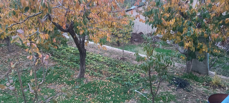 Dacha sotiladi charvoda
