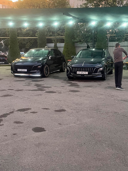 Hongqi eqm5 full 2021