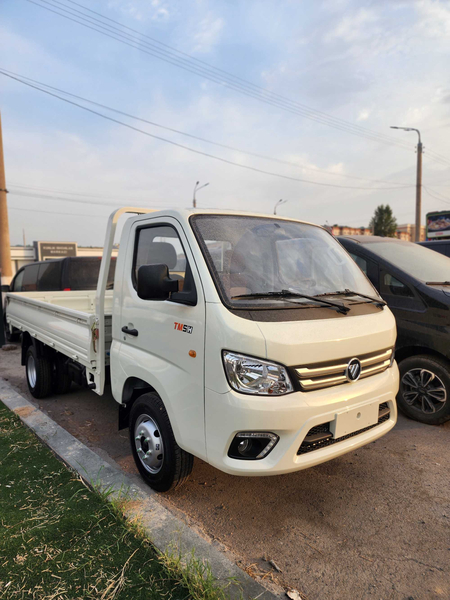 FOTON Truck Mate