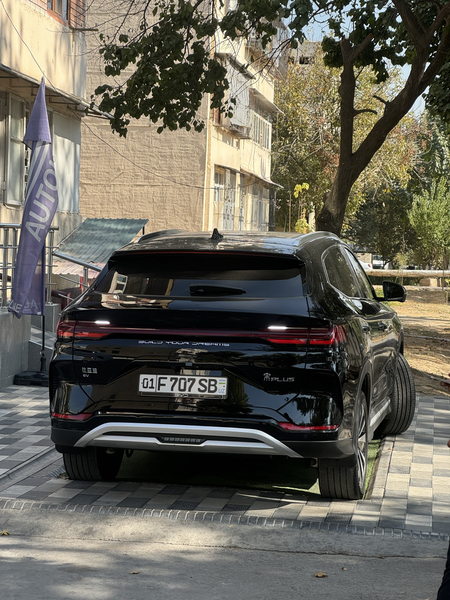 BYD chempion 2023 yil