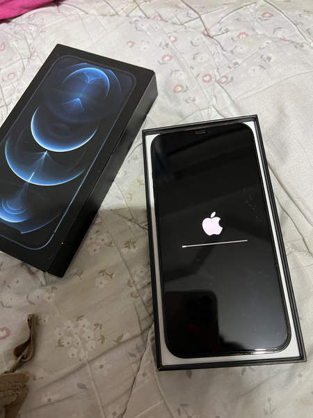 iPhone 12 promax