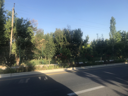 Участка 25 соток