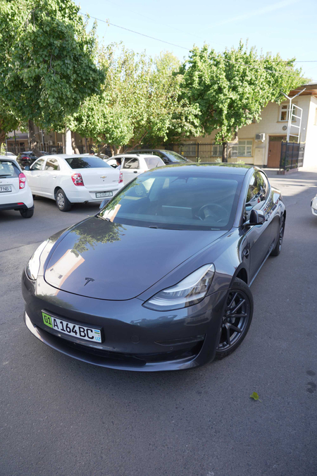 Tesla Model 3 Performance 2019 yil