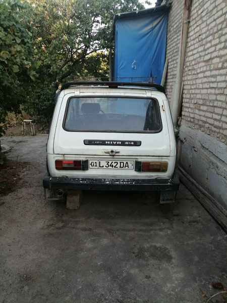 Niva sotiladi tezda