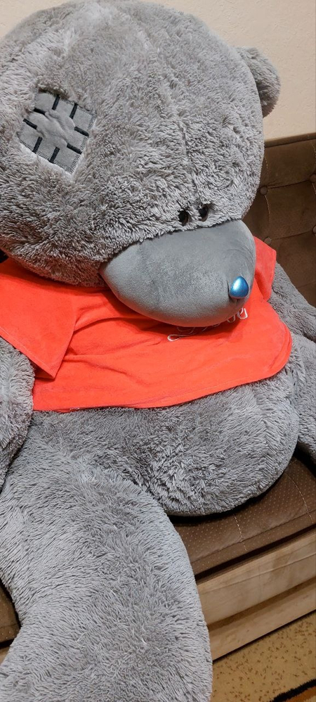 Teddy ayiq kattasi sotiladi yangi olingan  narxi kelishildi arzonroga