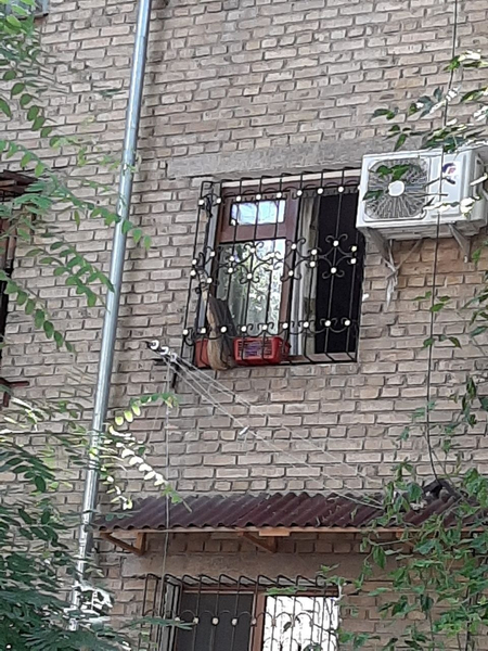 Reshotkalar yasaymiz
