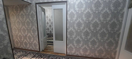 Chilonzor 14 kv oyla qizlarga